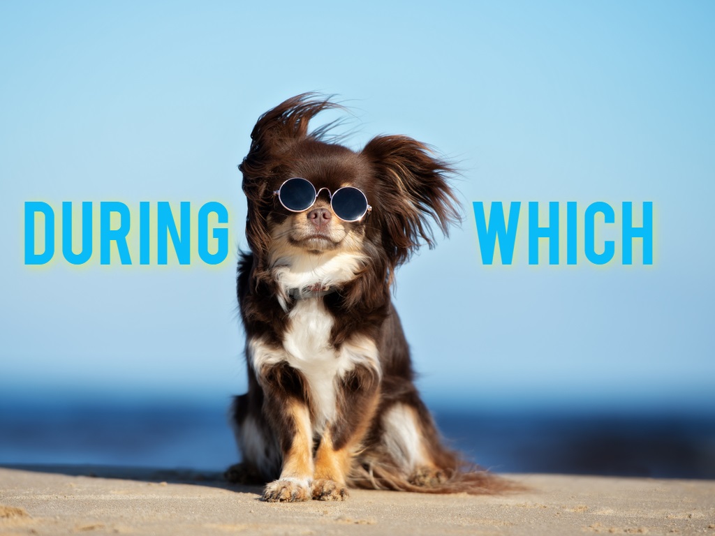 TOEICで出る！【during which】の意味と使い方・問題の解き方「during which time」との違い | うなぎ先生の英 ...